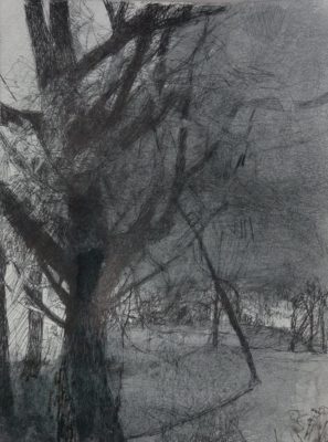 Interview with Carol Heft - Painting Perceptions