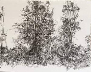Interview with Carol Heft - Painting Perceptions