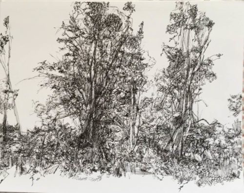 Interview with Carol Heft - Painting Perceptions